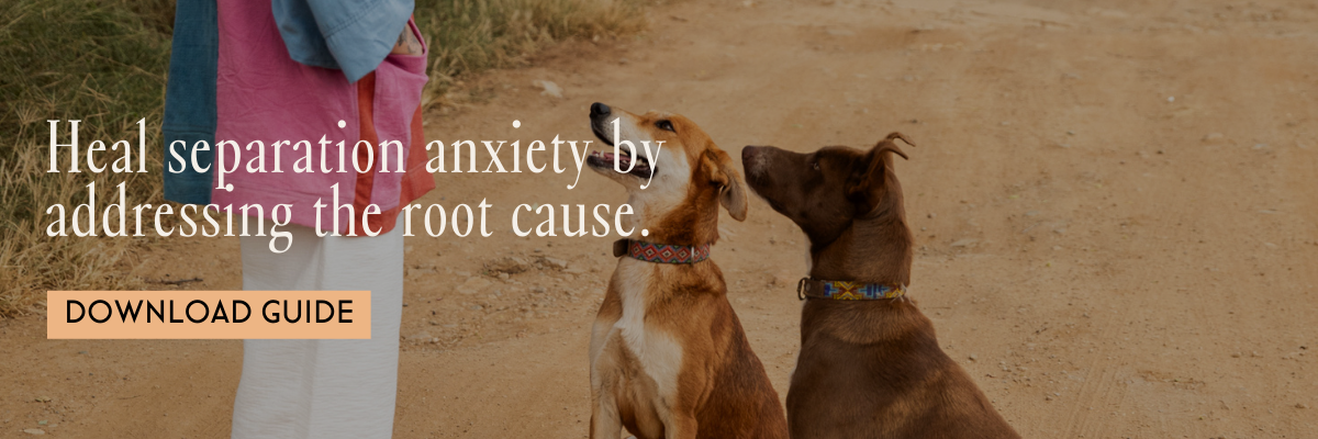 Is Alpha Theory “Debunked”? - Showit Blog